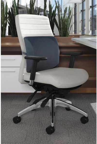 Ortobedik Bel Destek Minderi