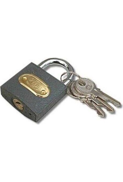 SFD Asma Kilit Gri 25 Mm.