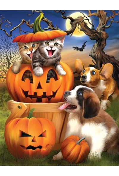 Movas Sanat Eğlenen Kedi ve Köpekler Elmas Mozaik Tablo / Mozaik Puzzle 40X60CM E20202837M