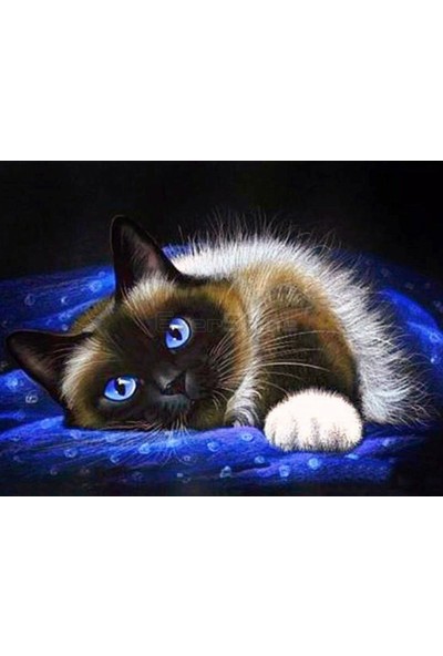 Movas Sanat Renkli Gözlü Uykucu Kedi Elmas Mozaik Tablo / Mozaik Puzzle 50X35CM E20202940M Movas Sanat Renkli Gözlü Uykucu Kedi Elmas Mozaik Tablo / Mozaik Puzzle 50X35CM E20202940M