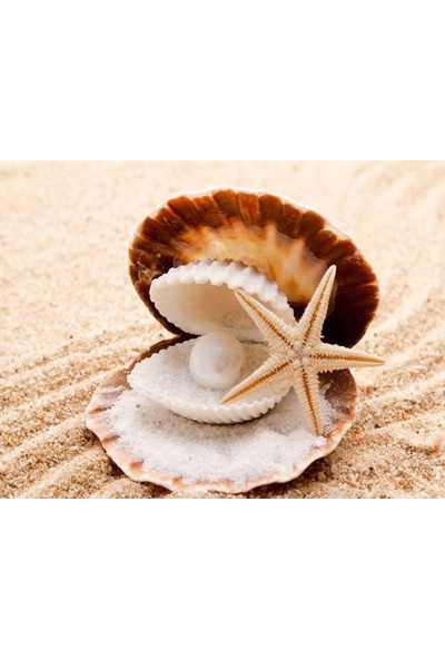 Movas Sanat Deniz Kabuğu, Inci ve Deniz Yıldızı Elmas Mozaik Tablo / Puzzle 50X35CM E20202759M Movas Sanat Deniz Kabuğu, Inci ve Deniz Yıldızı Elmas Mozaik Tablo / Puzzle 50X35CM E20202759M