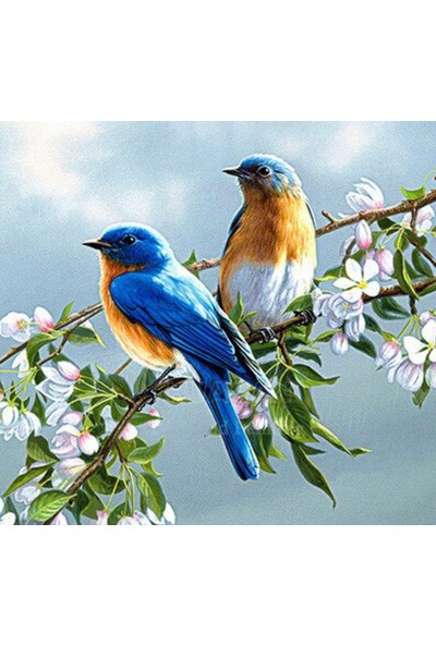 Movas Sanat Sevimli Çiftler Elmas Mozaik Tablo / Mozaik Puzzle 50X50CM E20202776M Movas Sanat Sevimli Çiftler Elmas Mozaik Tablo / Mozaik Puzzle 50X50CM E20202776M
