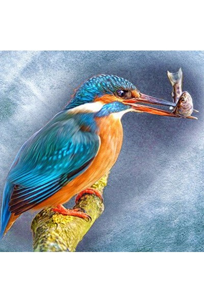 Movas Sanat Avını Yakalamış Kuş Elmas Mozaik Tablo / Mozaik Puzzle 50X50CM E20202769M Movas Sanat Avını Yakalamış Kuş Elmas Mozaik Tablo / Mozaik Puzzle 50X50CM E20202769M