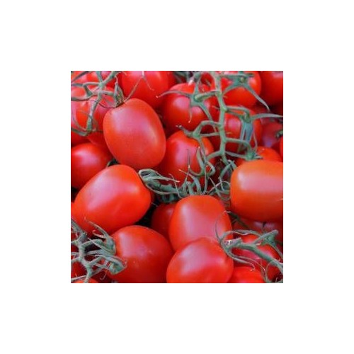 Akran Tarım Rio Grande Domates Tohumu Bursa Domates Tohumu 5 Fiyatı