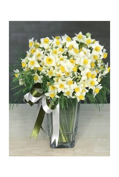 Safir Garden Doğal Kokulu Nergis Soğanı 5 Adet