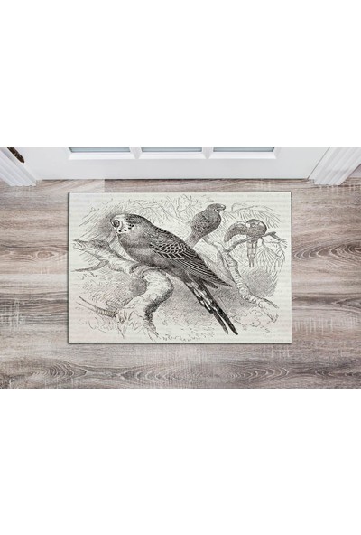 Kiparis Atlas 565 Modern Kaymaz Taban Paspas Kiparis Atlas 565 Modern Kaymaz Taban Paspas