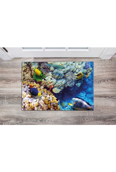 Kiparis Atlas 622 Modern Kaymaz Taban Paspas Kiparis Atlas 622 Modern Kaymaz Taban Paspas