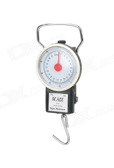 Ennalbur Scale Ibreli El Kantarı