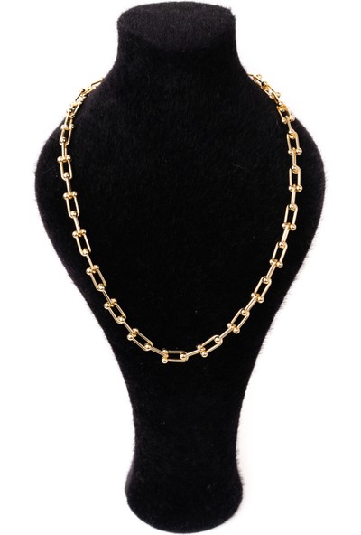 Eva Takı Model Kararmaz Altın Kaplama Geçmeli Gold Çelik Kolye Eva Takı Model Kararmaz Altın Kaplama Geçmeli Gold Çelik Kolye