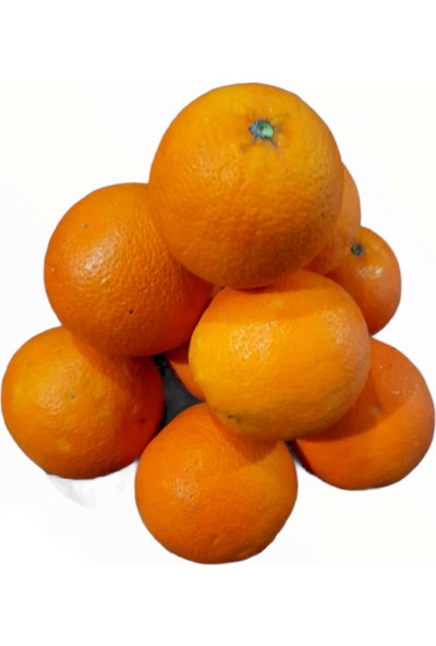 Alanya Özlem Portakal Taptaze Bol Sulu 5kg