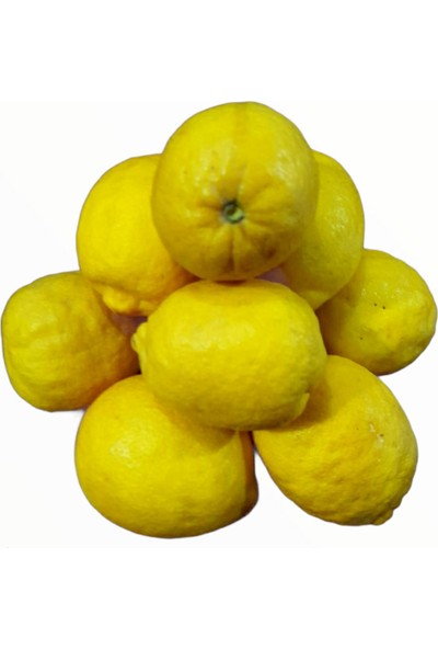 Alanya Özlem Limon Taptaze Bol Sulu 5kg