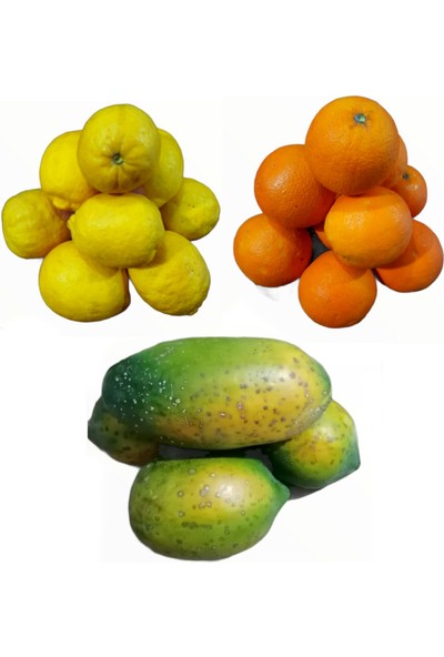 Alanya Özlem Papaya 2 kg, Portakal 2 kg ve Limon 2 kg
