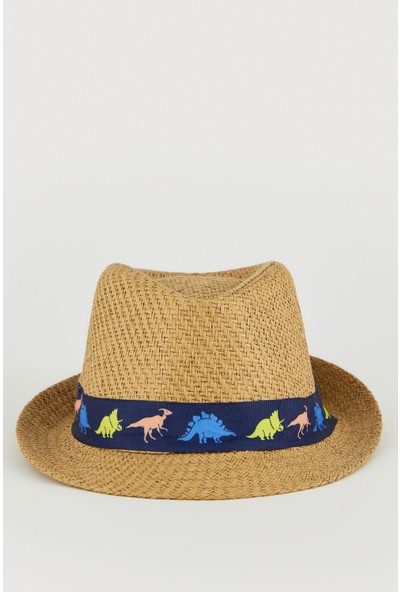 Defacto Erkek Çocuk Hasır Şapka T8472A621SM