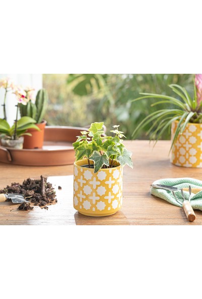 English Home Sun Garden Saksı 10.5X10.5X10.5 cm Sarı English Home Sun Garden Saksı 10.5X10.5X10.5 cm Sarı