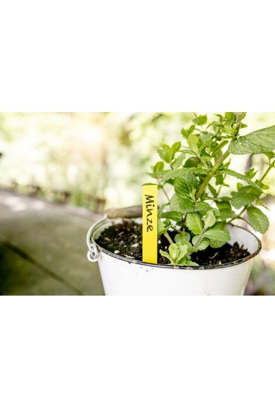 Windhager Sarı Ahşap Bitki Etiketi 25'li Set