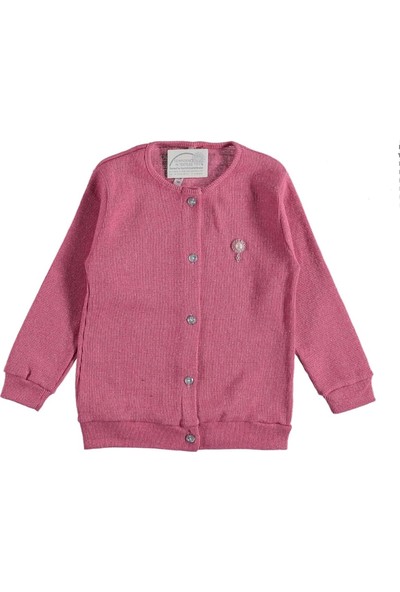 Başak Çocuk Giyim 317359 Simli Kaşkorse Hırka 1/4 Yaş - Başak Çocuk Giyim - Pembe - 1-2 Yaş