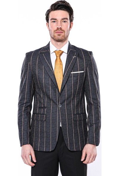 Wessi Erkek Çizgili Slim Fit Ceket