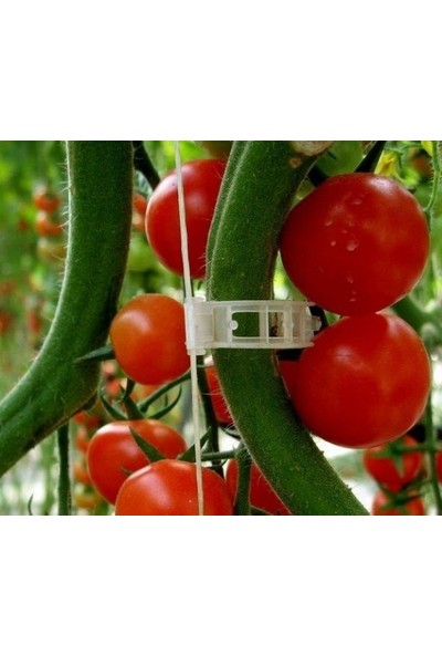 100 Adet Domates Klipsi Bitki Klipsi, Sarmaşık Klipsi 100 Adet Domates Klipsi Bitki Klipsi, Sarmaşık Klipsi