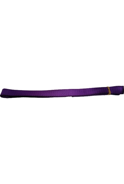 Şahika Sonsuz Polyester Sapan 1 Ton 1 Metre Şahika Sonsuz Polyester Sapan 1 Ton 1 Metre