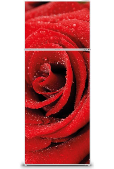 Ender Kırmızı Gül Buzdolabı Sticker