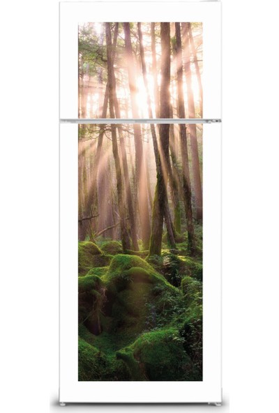 Ender Doğa Temalı Buzdolabı Sticker Ender Doğa Temalı Buzdolabı Sticker