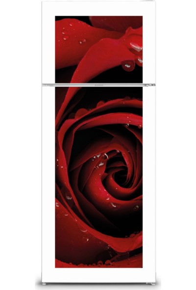 Ender Kırmızı Gül Buzdolabı Sticker