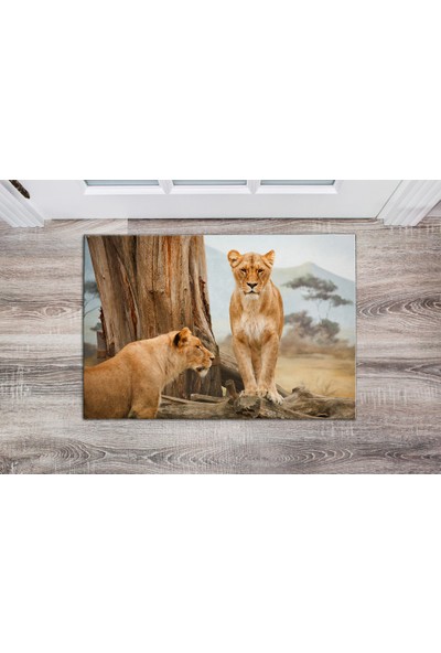 Kiparis Aslan, Kapı Önü, Bina Içi ve Dışı Paspası Kiparis Aslan, Kapı Önü, Bina Içi ve Dışı Paspası