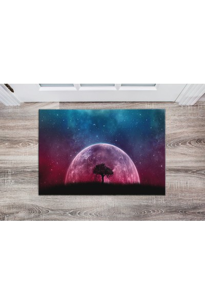 Kiparis Gezegen 3, Kapı Önü, Bina Içi ve Dışı Paspası