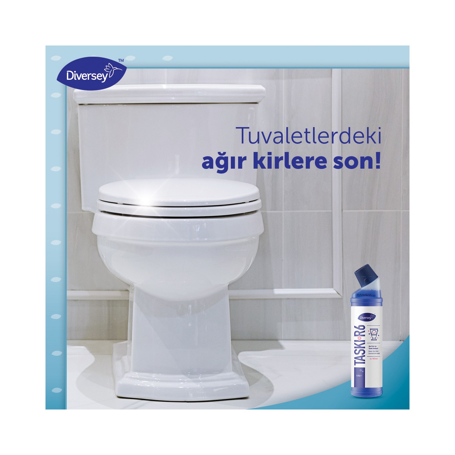 Room Care R6 Ağır Kirler İçin Klozet Temizlik Ürünü 750 ml Fiyatı