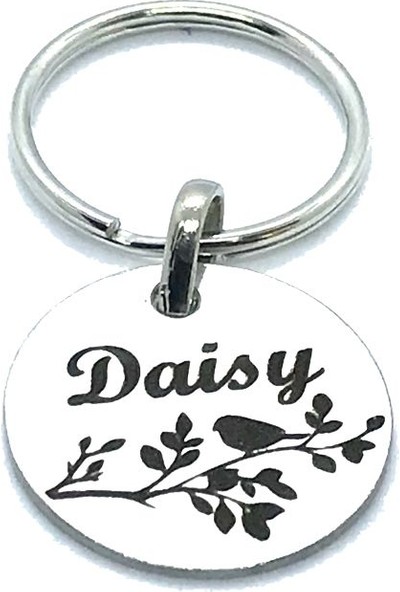 Mg Küçük Boy Köpekler Için Kişiye Özel Paslanmaz Çelik Künye