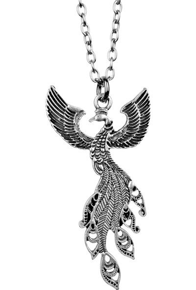 Bu Farklı Zümrüdüanka Kuşu Gümüş Kaplama 60 cm Zincir Erkek Kadın Kolye