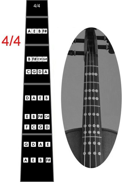Cantekin Keman Sticker Keman Nota Yerleri Latin Notalı Keman Tuşe Kılavuzu Violin Sticker Cantekin Keman Sticker Keman Nota Yerleri Latin Notalı Keman Tuşe Kılavuzu Violin Sticker