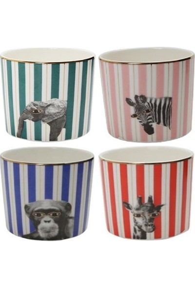 Porland Wild Life 4'lü Bardak Takımı 230 cc