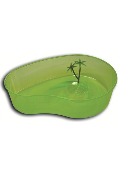 Tisertt Küçük Kaplumbağa Bahçesi