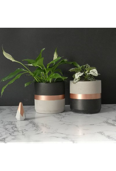 Mini Decor Silindir 2'li Büyük Boy Beton Saksı Mini Decor Silindir 2'li Büyük Boy Beton Saksı