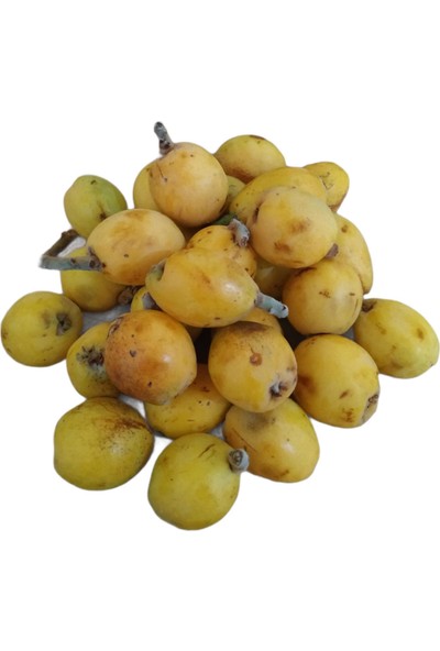 Alanya Özlem Malta Eriği( Yeni Dünya Veya Muşmula) 1 kg