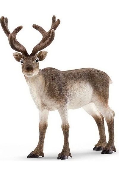 Schleich Wild Life Figür Ren Geyiği CWL14837