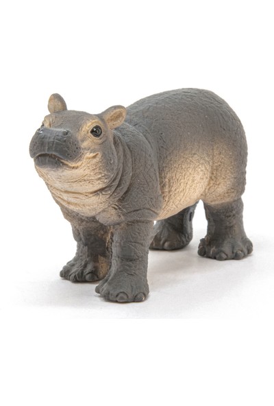 Schleich Wild Life Figür Bebek Su Aygırı CWL14831