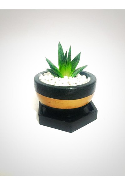 Modesign Altıgen Tabaklı Dekoratif Saksı Setinde Hediye Sukulent & Kaktüs Takımı
