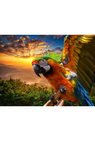 Captainalbatross Repeat After ME1000 Parça Puzzle Captainalbatross Repeat After ME1000 Parça Puzzle