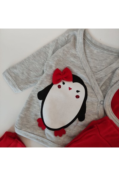 Ruby & Ruby Kırmızı Penguen Hoşgeldin Bebek Kutusu Ruby & Ruby Kırmızı Penguen Hoşgeldin Bebek Kutusu