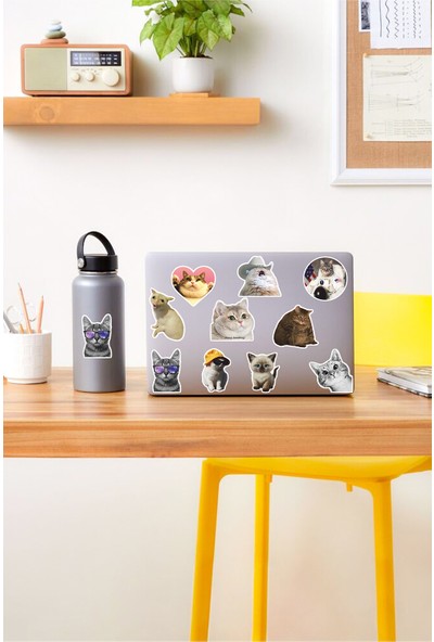 Ar Sticker Cats Temalı Laptop Notebook Tablet Sticker Set 1 Ar Sticker Cats Temalı Laptop Notebook Tablet Sticker Set 1