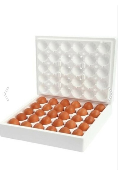 Ots Organik Organik Yumurta 30 Lu