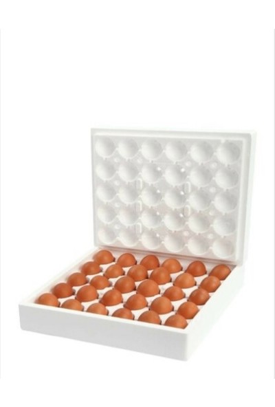 OTS Köy Yumurtası (30 Lu Gezen Tavuk Yumurtası - 1 Numara)