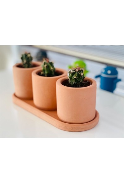 Etiget Souche Naturel Sukulent Beton Saksı Dekoratif 3'lü Set Etiget Souche Naturel Sukulent Beton Saksı Dekoratif 3'lü Set