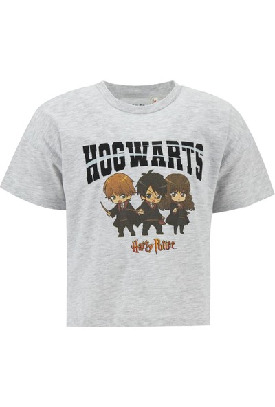 Defacto Kız Çocuk Harry Potter Lisanslı Kısa Kol Tişört U6554A621SM