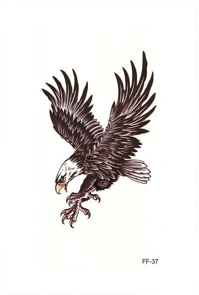 Takıştır Geçici Kartal Dövme Tattoo