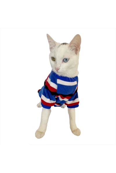 Kemique Tommy Colours Oval Yaka Tişört Kedi Kıyafeti Kedi Elbisesi Kemique Tommy Colours Oval Yaka Tişört Kedi Kıyafeti Kedi Elbisesi