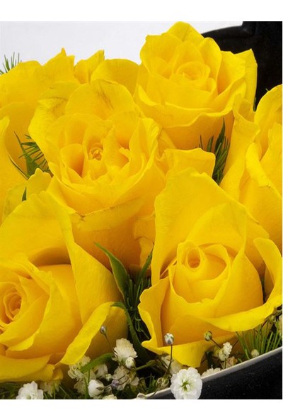 Mert Tarım 1 Adet Tüplü Gül Fidanı (Sarı) Yediveren Kokulu