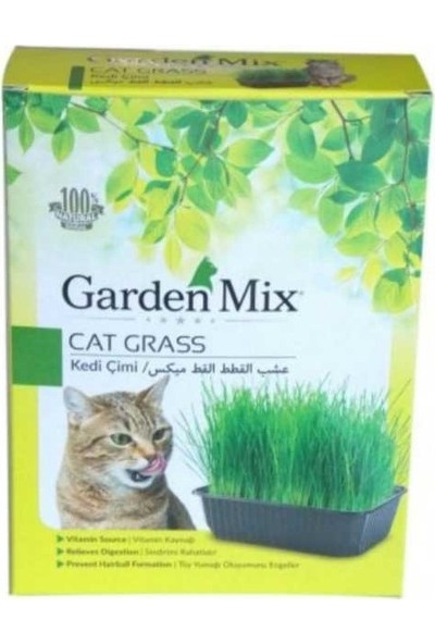 Garden Mix Gardenmıx Kedi Çimi 13CM x 18 cm